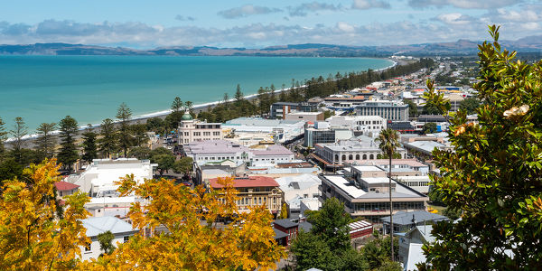 Hawke's Bay | - Lawn Rite
