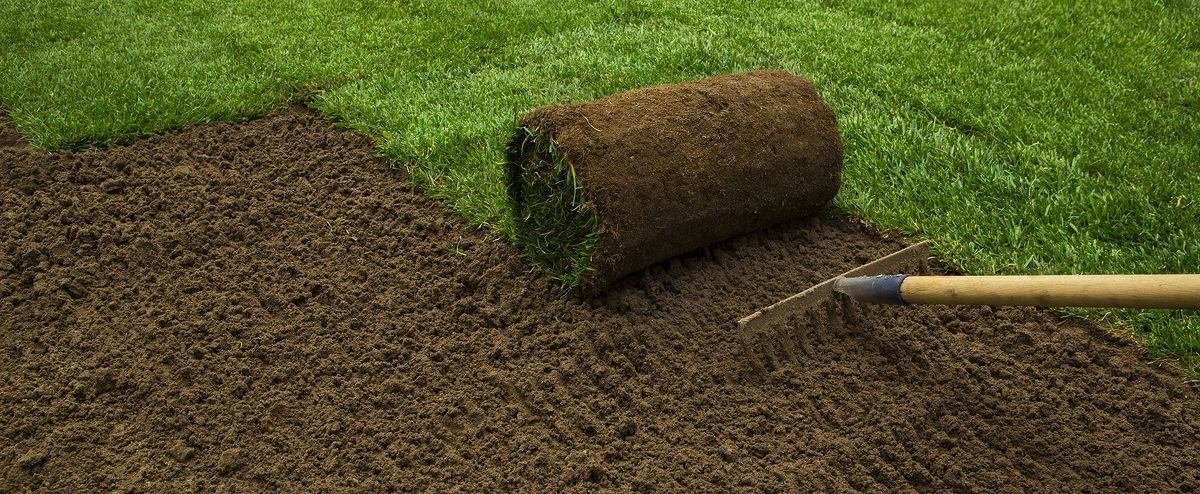 Auckland Lawn Mowing & Gardening Provider - Lawn Rite