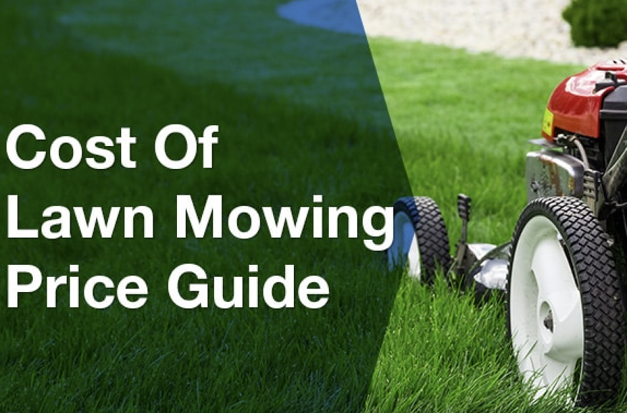Lawn Mowing Service Costs: Your Complete Guide to Pricing | Lawn Rite ...